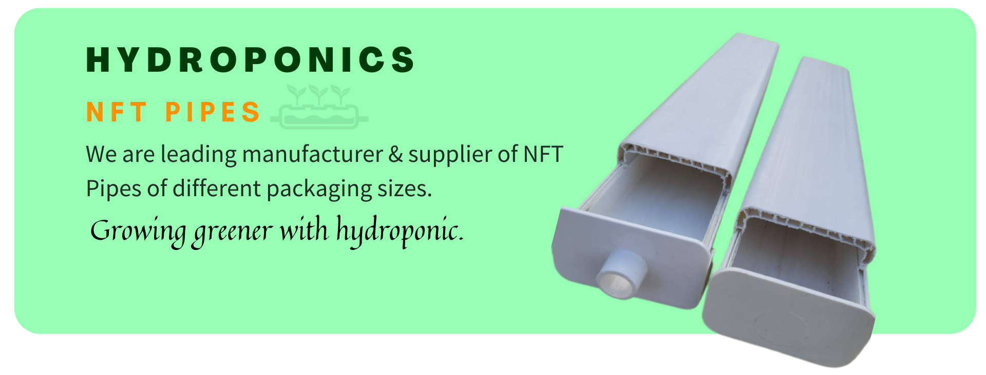 Skaylex Hydroponics – Manufacturing and Supplying of Hydroponic Net Pots